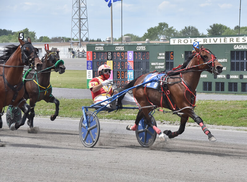 Jans Legacy back at Hippodrome 3R Sunday - Bets and Hooves